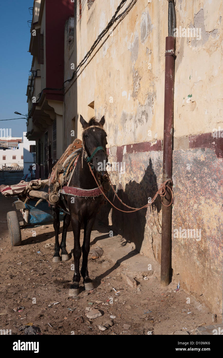 Horse carriage on corner hi-res stock photography and images - Alamy