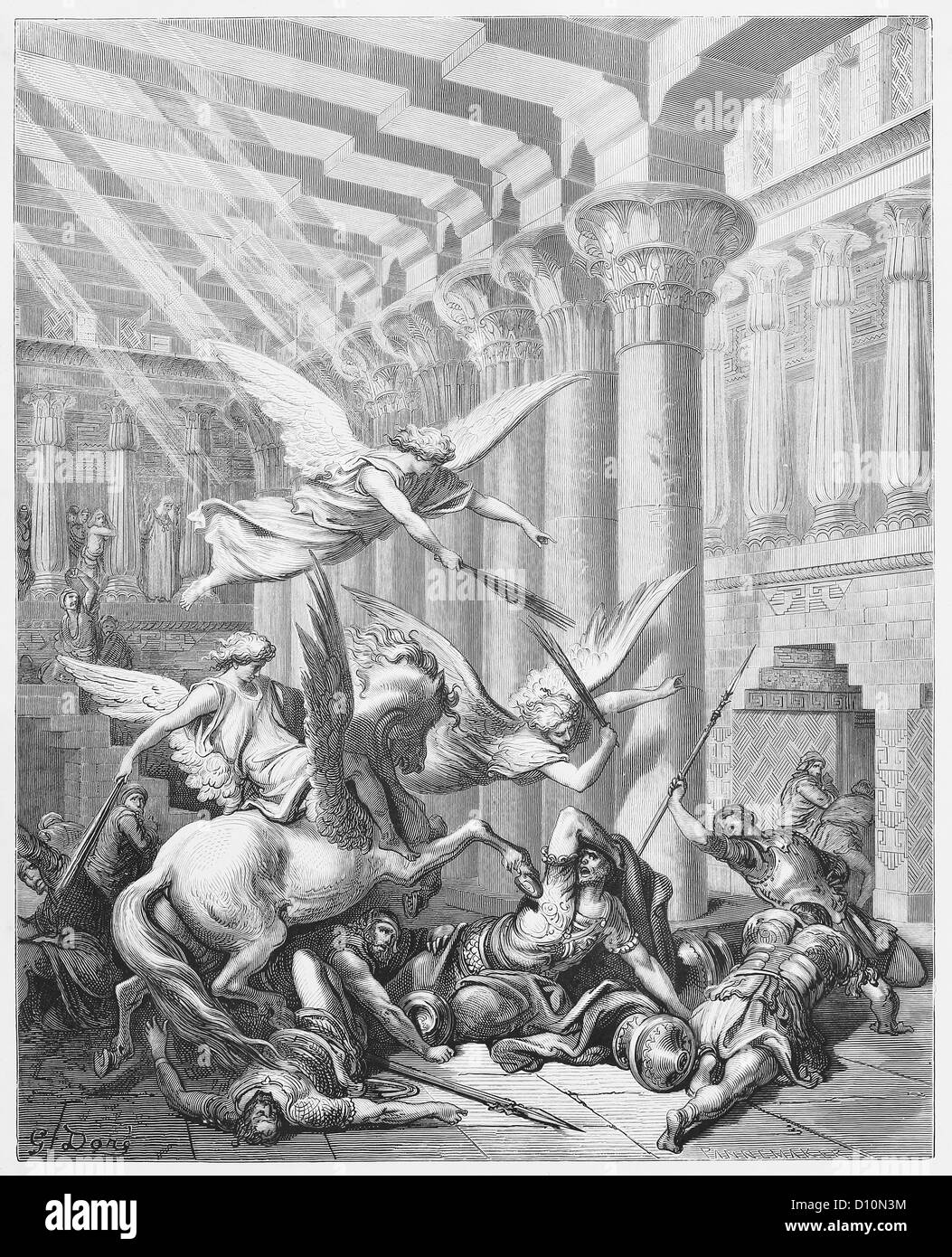 Heliodorus hi-res stock photography and images - Alamy