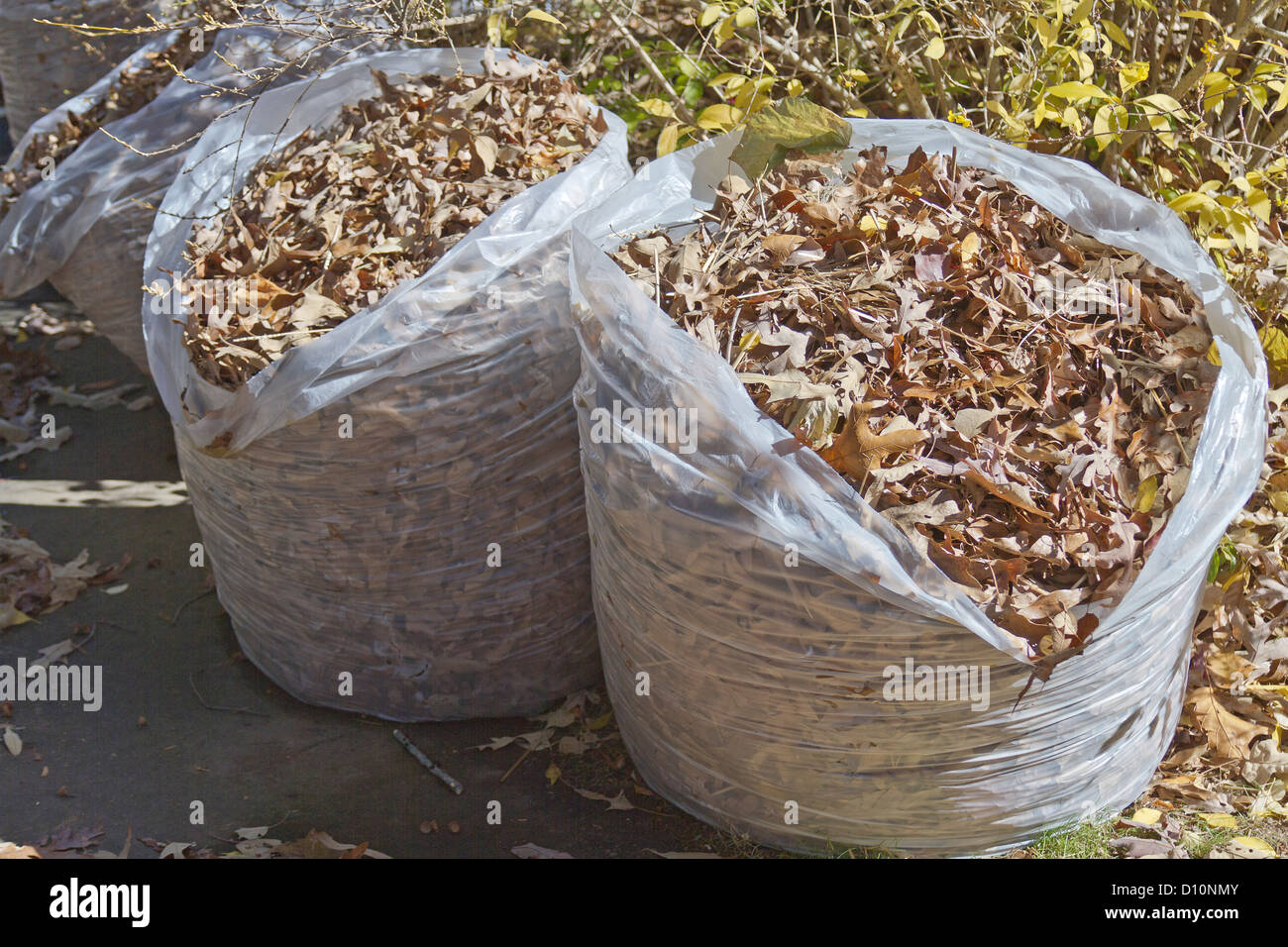 Bagged fall leaves hi-res stock photography and images - Alamy