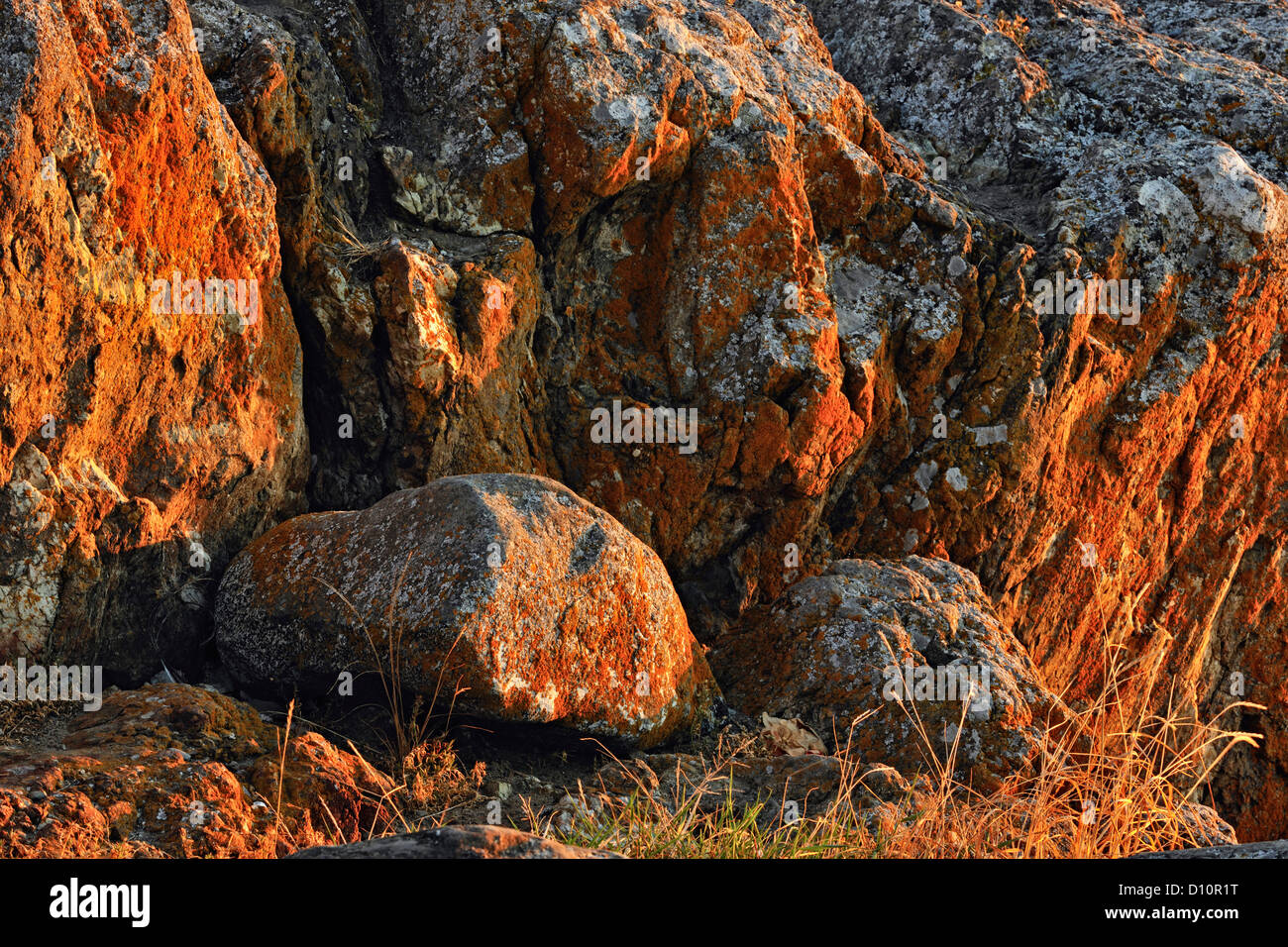 Victoria bc tourist attractions hi-res stock photography and images - Alamy