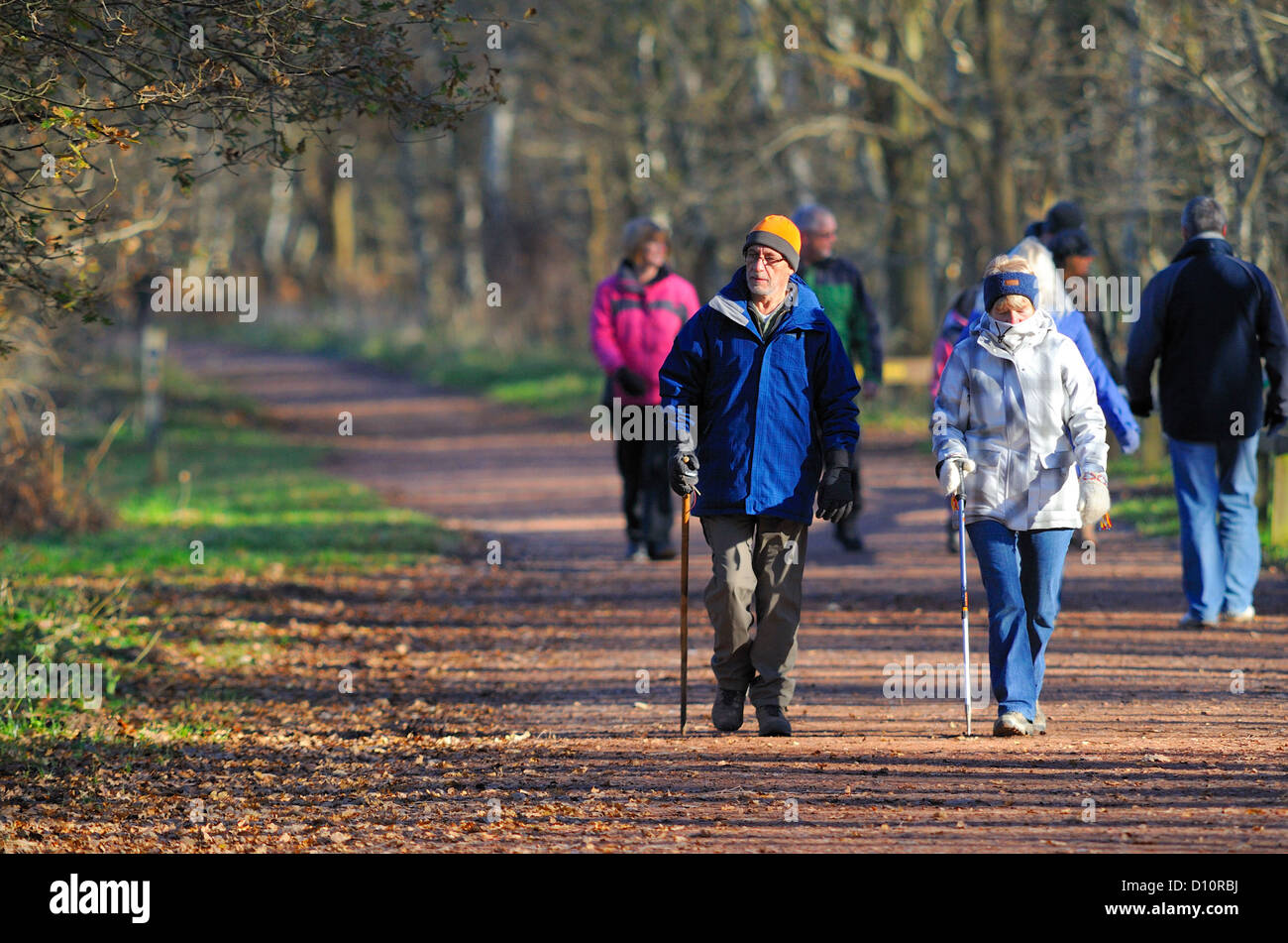 Group of people in the forest hi-res stock photography and images - Alamy
