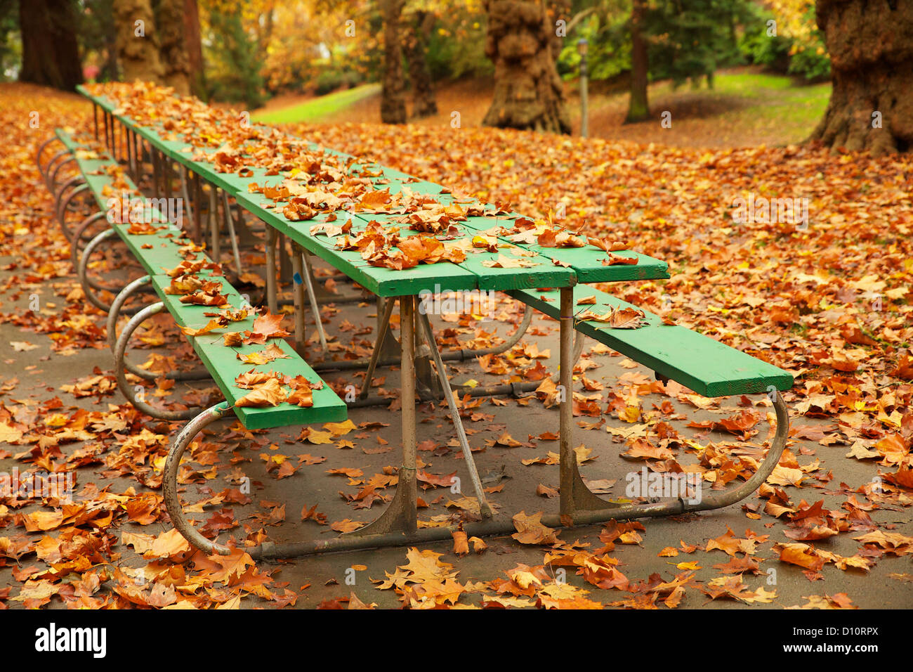 Long autumn green picnic table covered with fall leaves in a park Stock ...