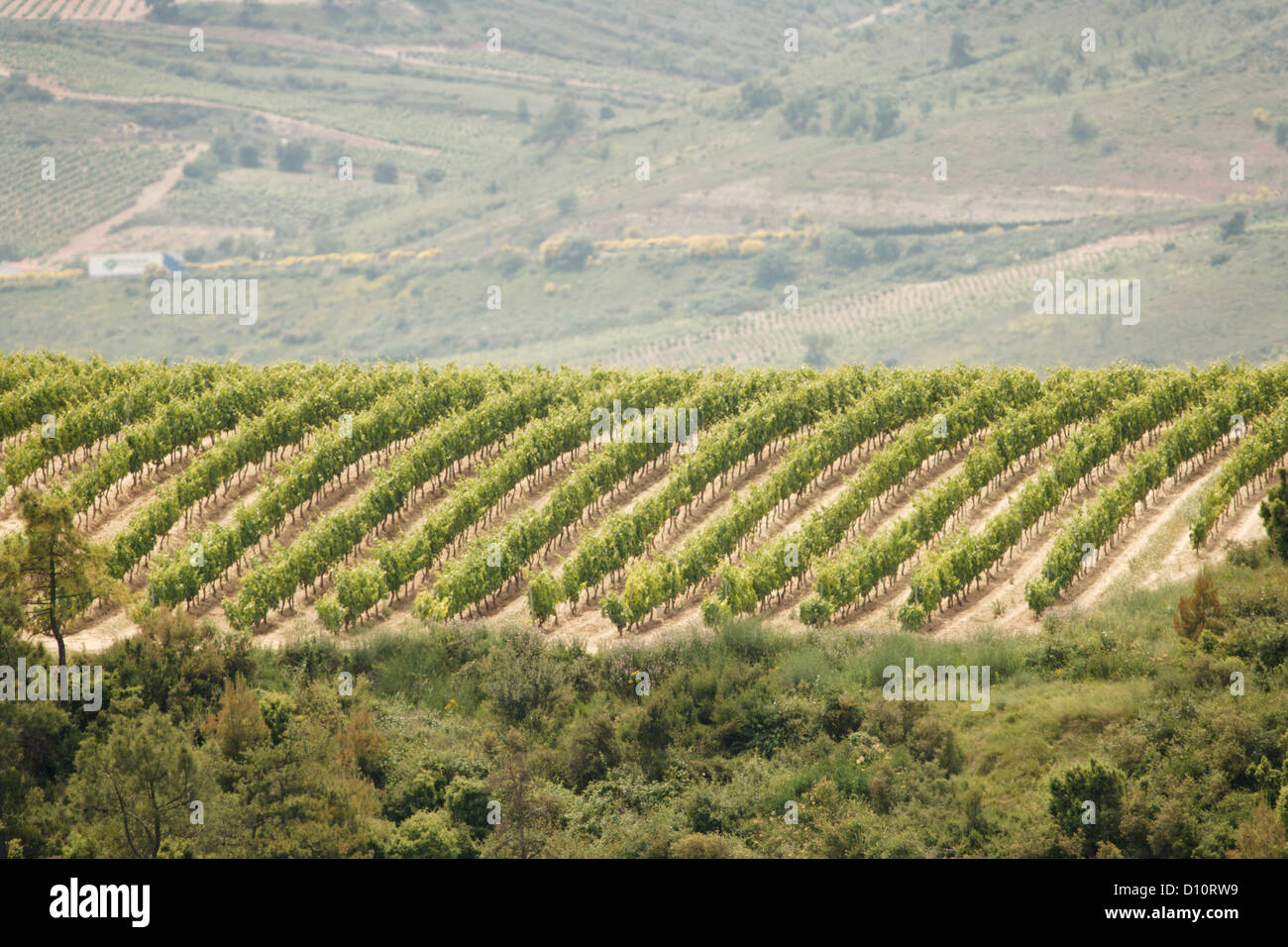 El ciego rioja hi-res stock photography and images - Alamy