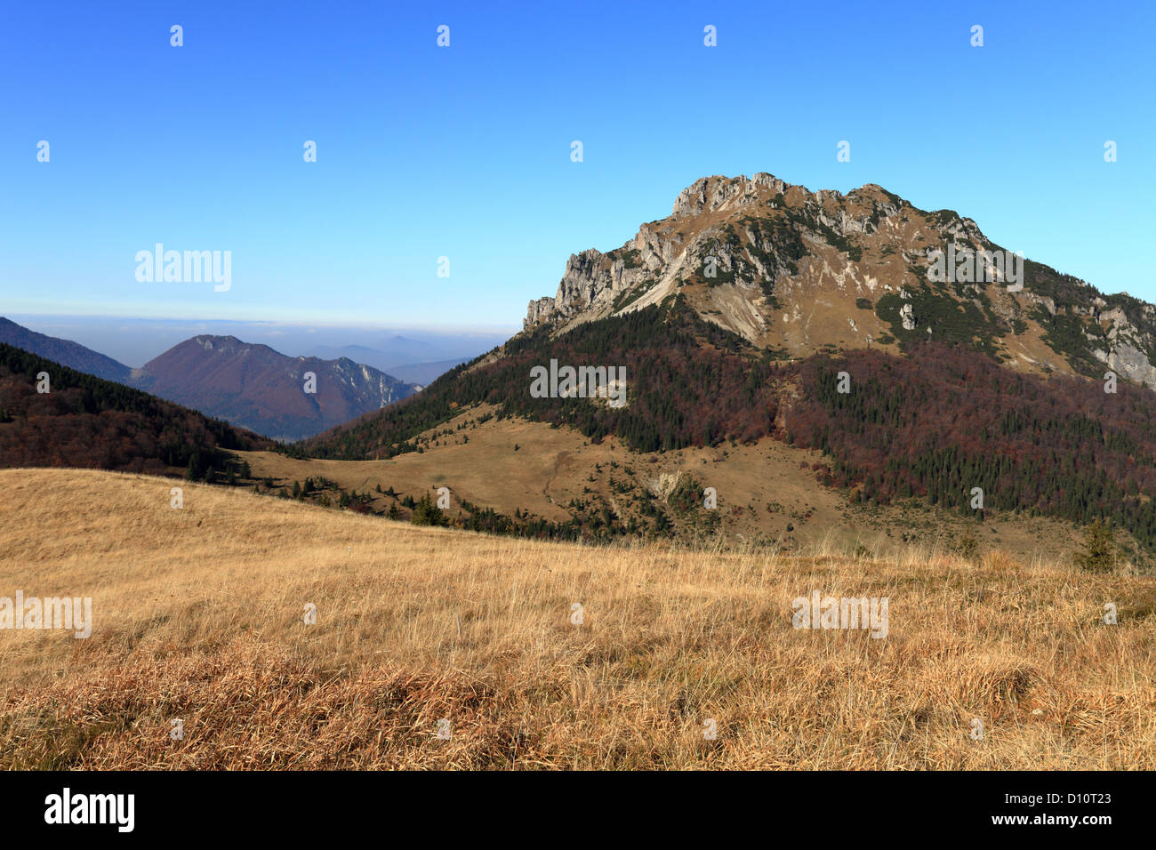 View of Velky Rozsutec from Osnica, NP Mala Fatra, Slovakia Stock Photo ...