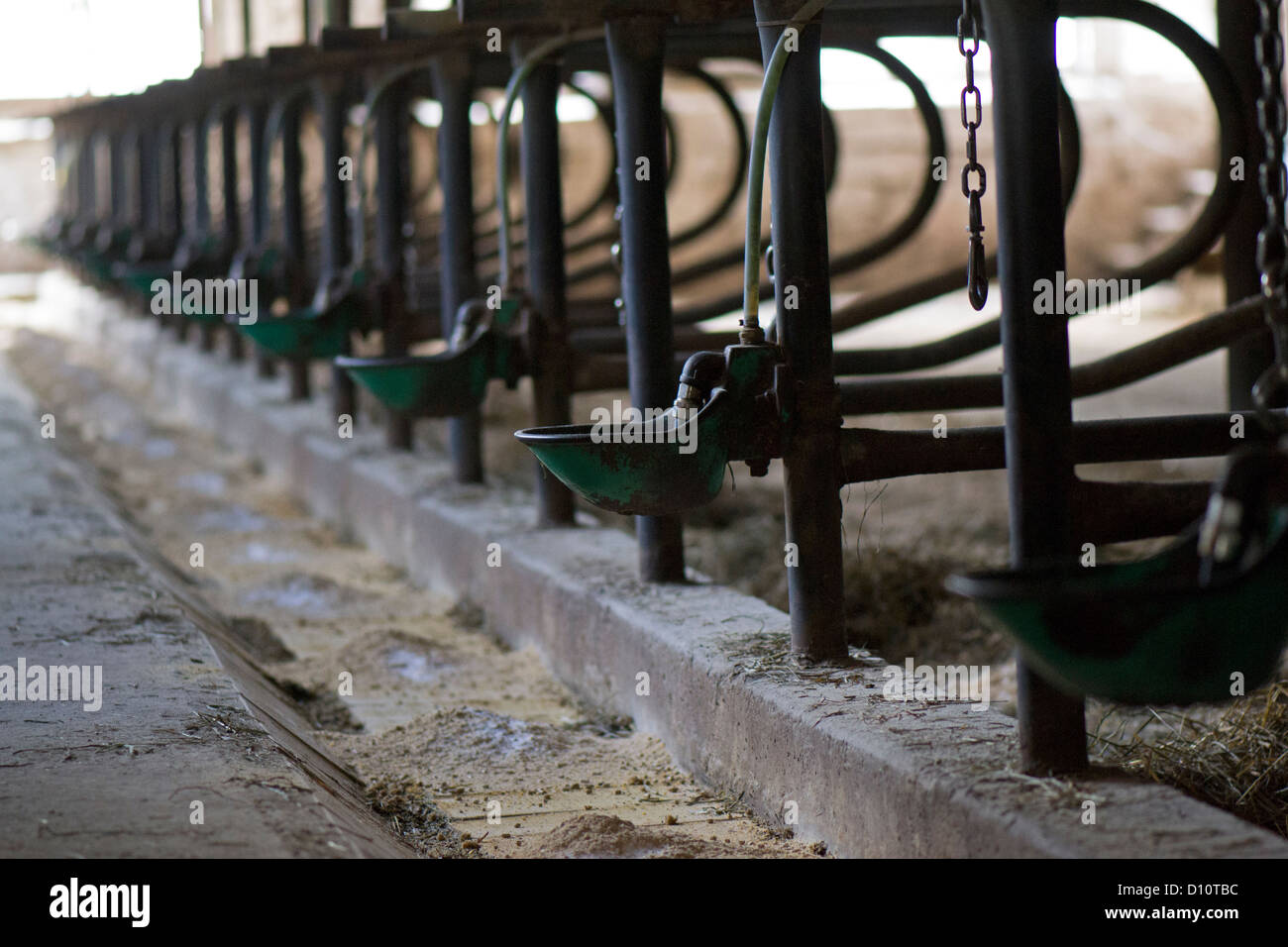Inside of Empty Dairy Barn Stock Photo - Alamy