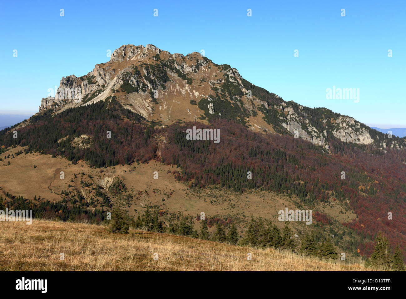 View of Velky Rozsutec from Osnica, NP Mala Fatra, Slovakia Stock Photo ...