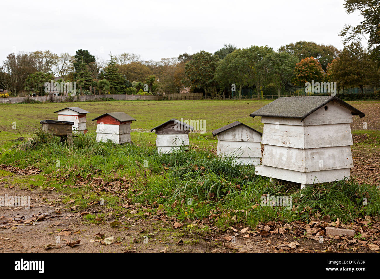 Beehive islands hi-res stock photography and images - Alamy