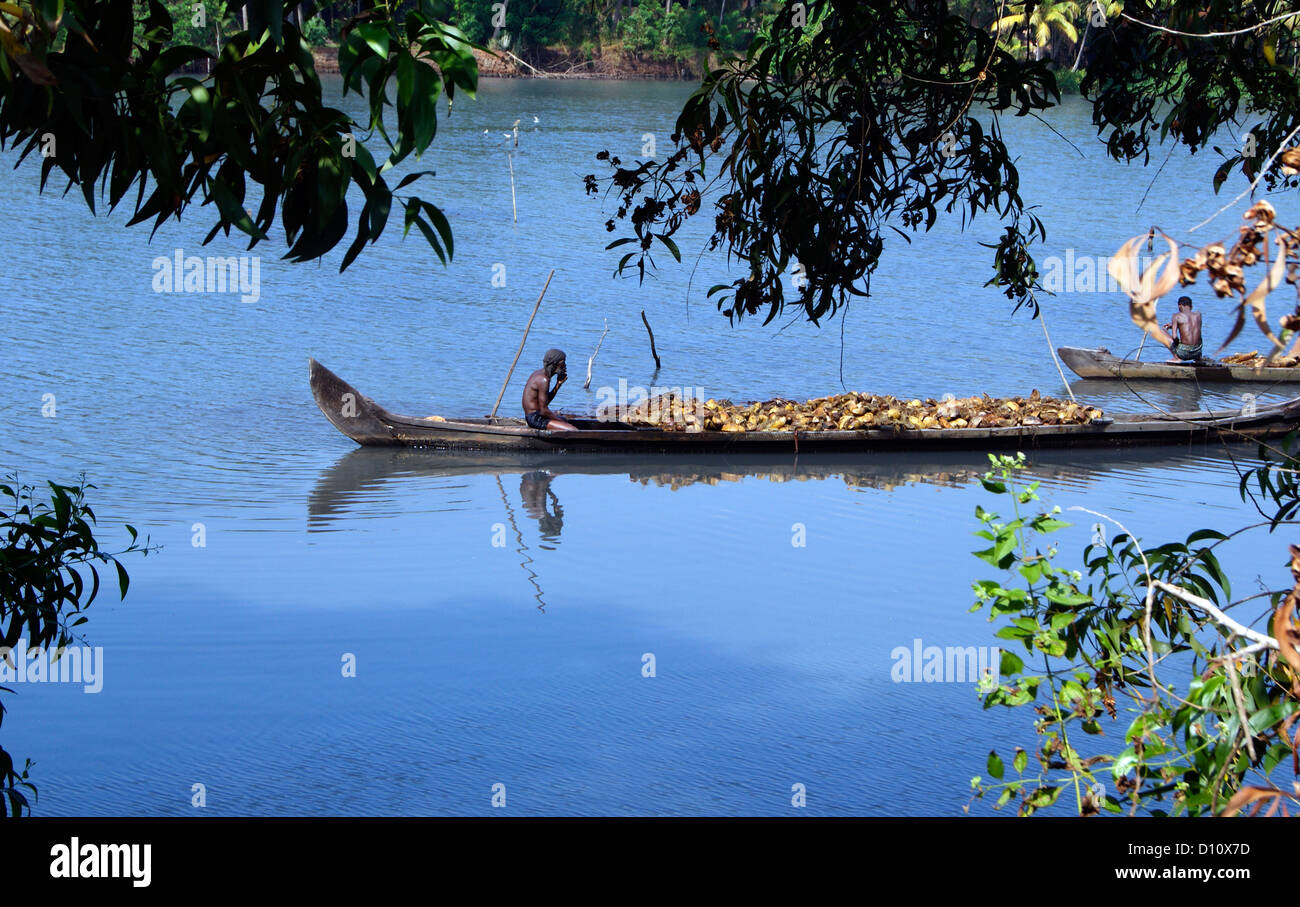Kerala Backwaters Boat scenery of Native Wooden canoe boats carrying ...