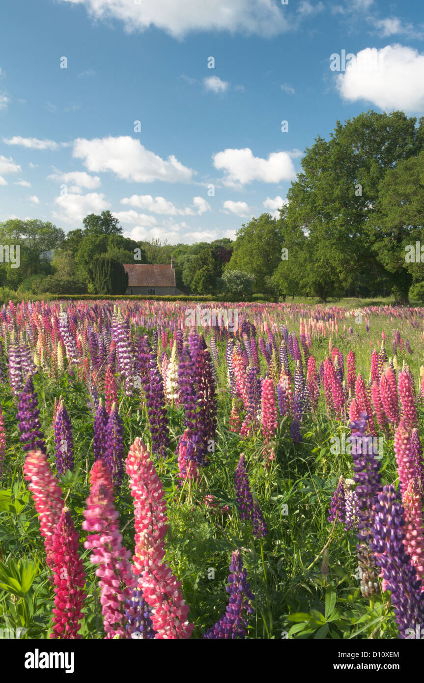 Terwick church hi-res stock photography and images - Alamy
