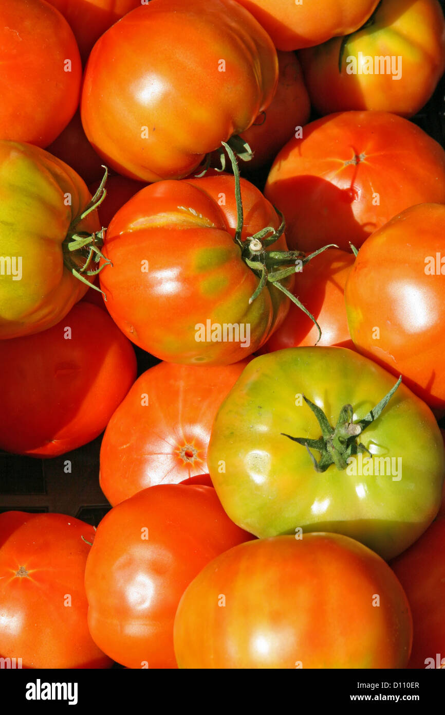 Puglia tomato hi-res stock photography and images - Alamy