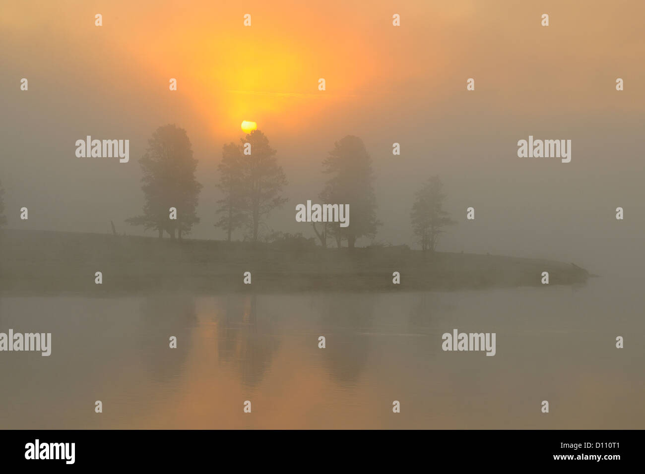 Foggy sunrise over the Yellowstone River in the Hayden Valley ...