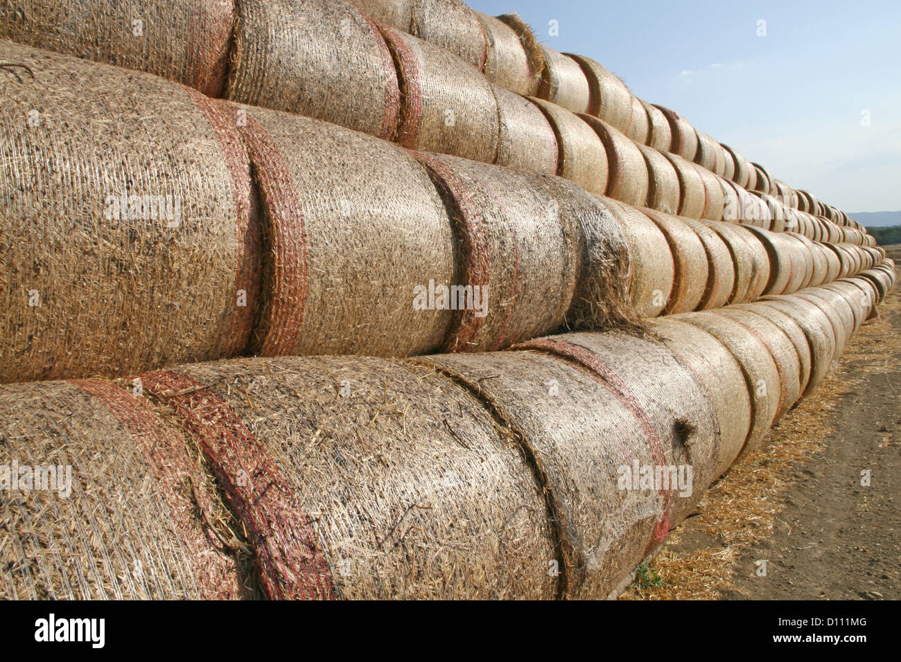 Landscape tuscany hay bales hi-res stock photography and images - Alamy