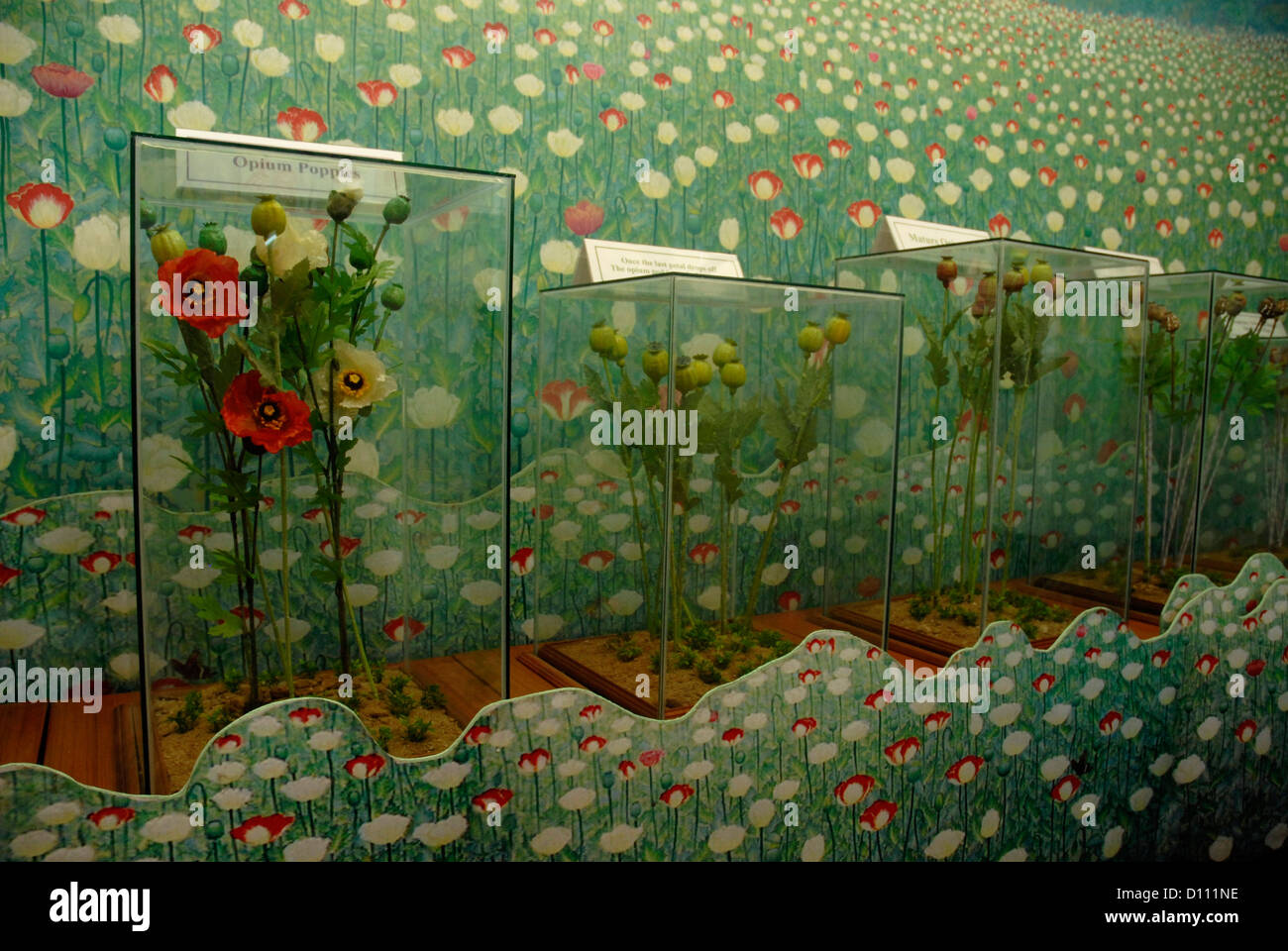 Opium thailand golden triangle hi-res stock photography and images - Alamy