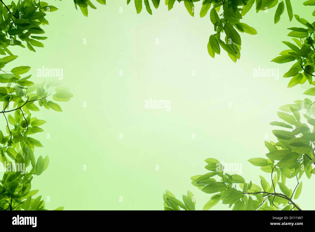 nature green leaf frame background Stock Photo - Alamy