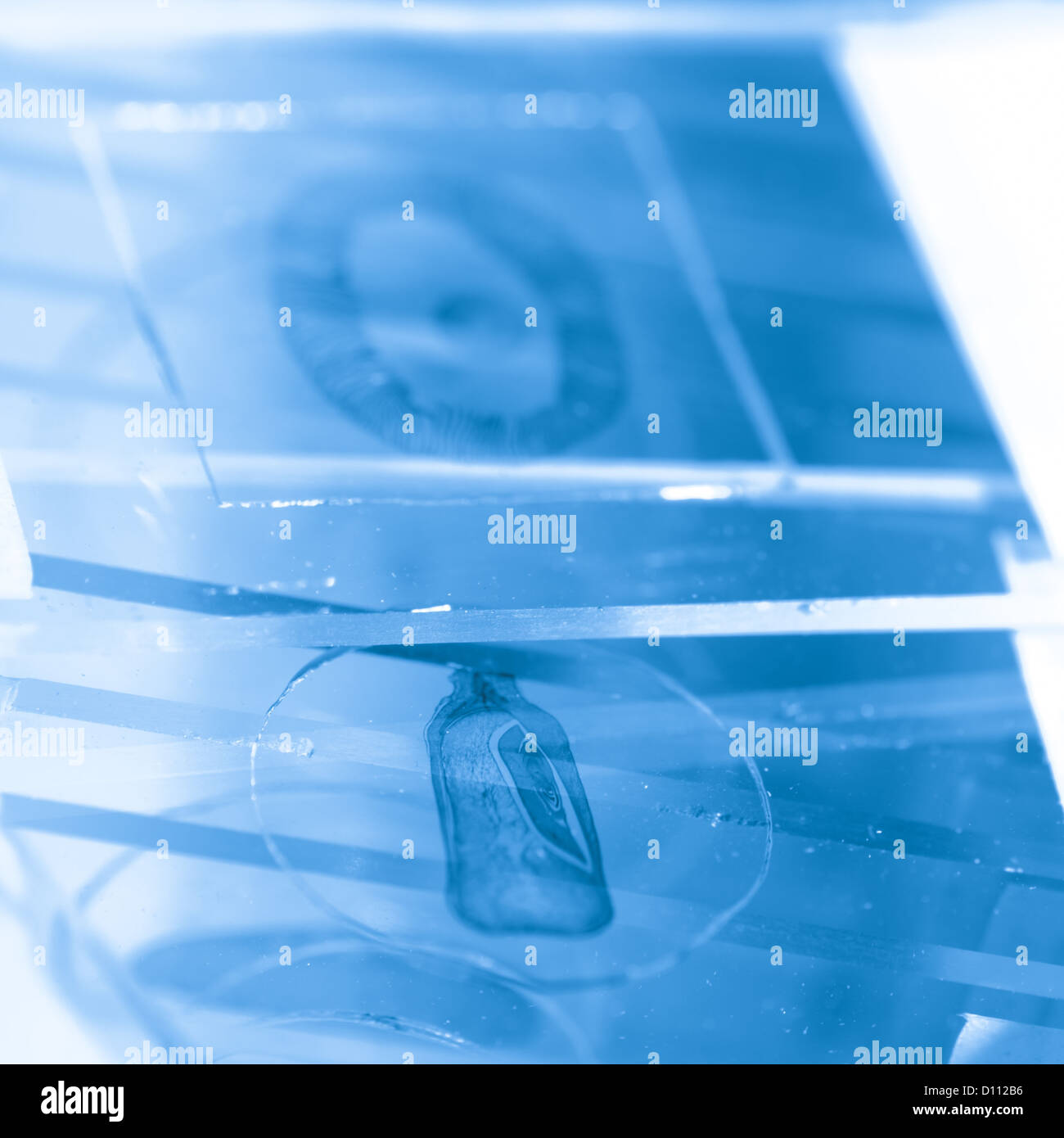 science medical glass microscope slide with sample Stock Photo - Alamy