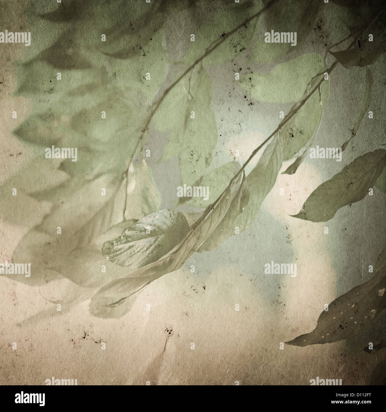 spring nature green leaf old grunge paper texture background Stock ...