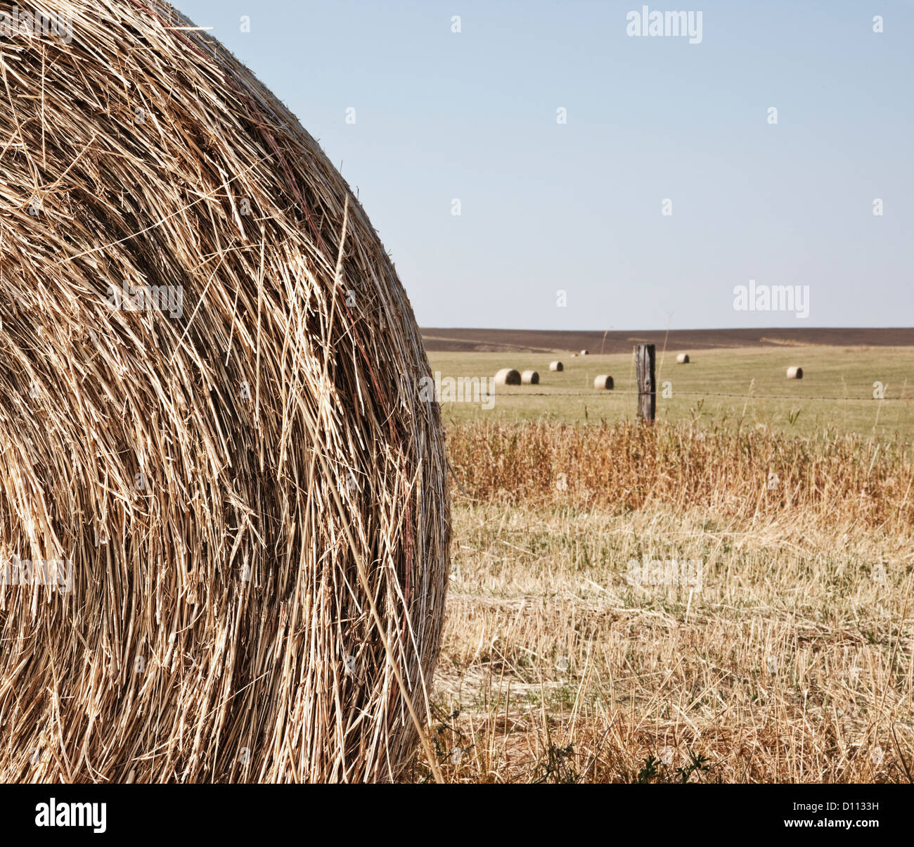 Circular Hay Bale Stock Photo - Alamy