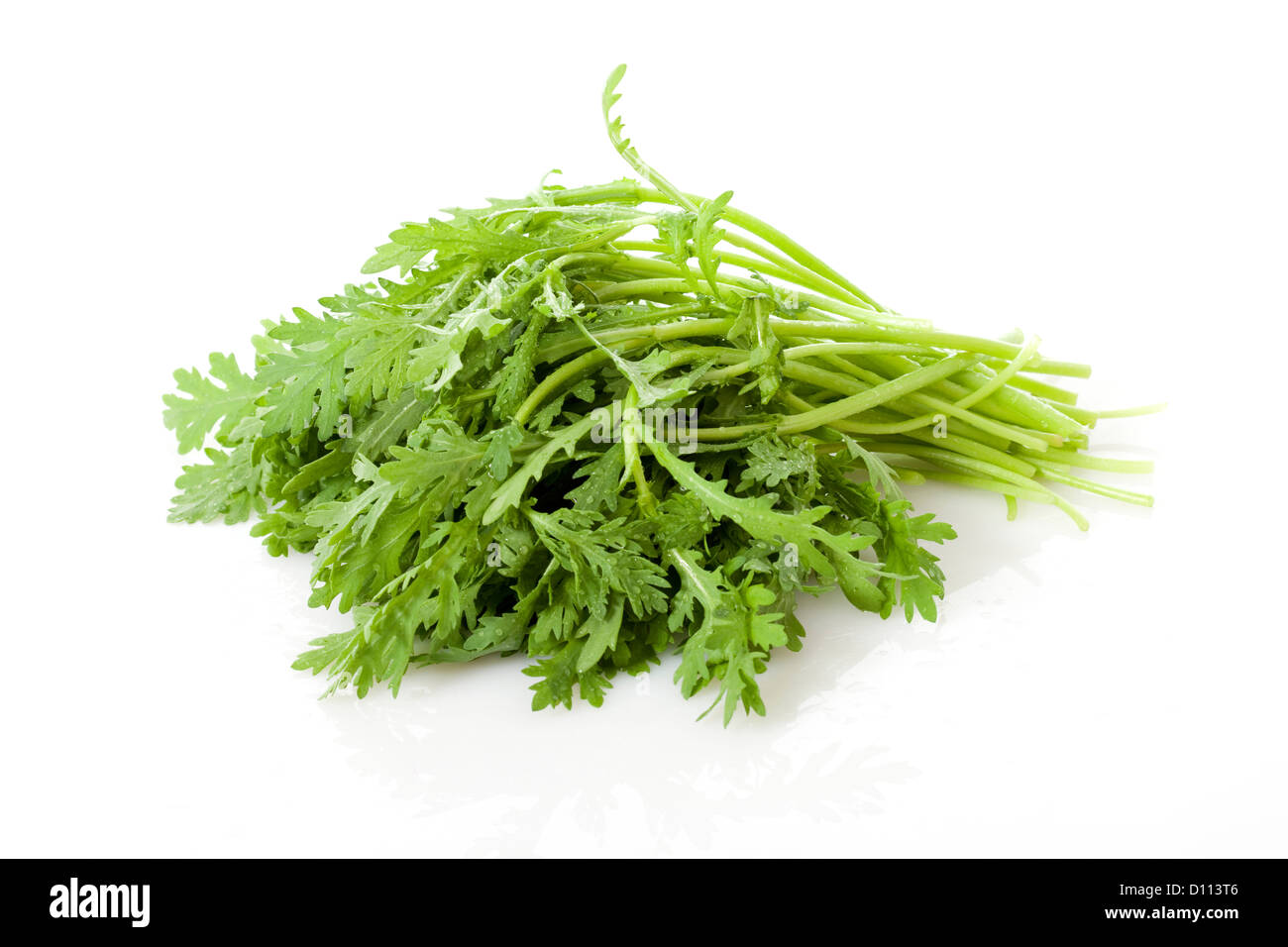 Crown daisy Cut Out Stock Images & Pictures - Alamy