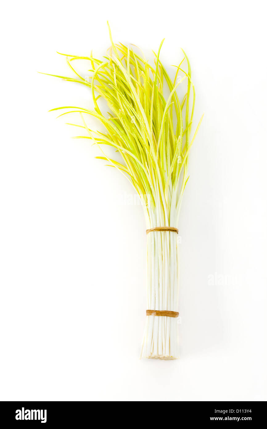 Blanched garlic leaves hi-res stock photography and images - Alamy