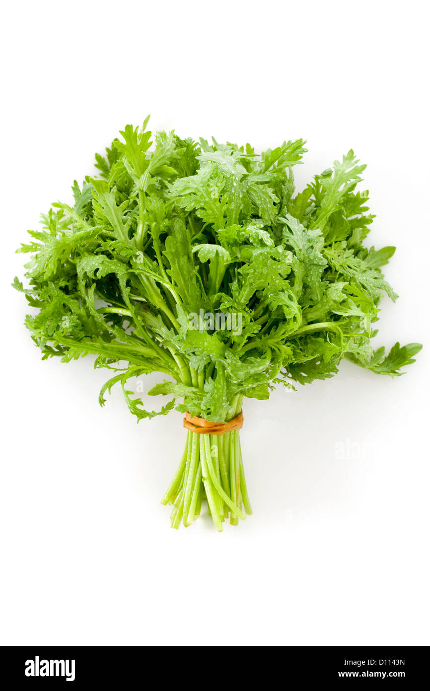 Crown Daisy Vegetable High Resolution Stock Photography and Images - Alamy