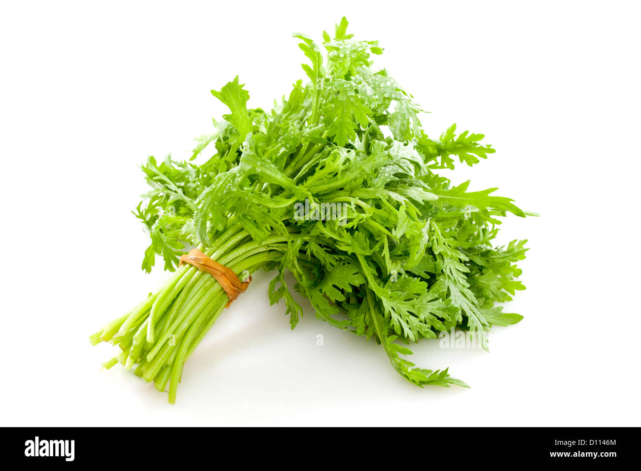 Crown daisy vegetable hi-res stock photography and images - Alamy