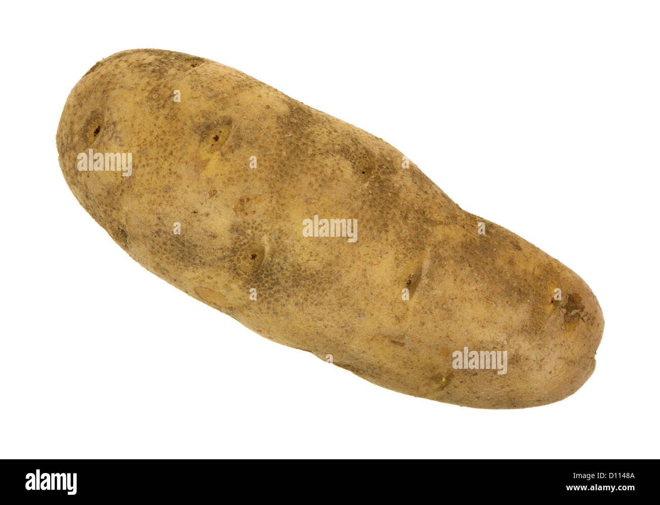 A single russet potato on a white background Stock Photo - Alamy