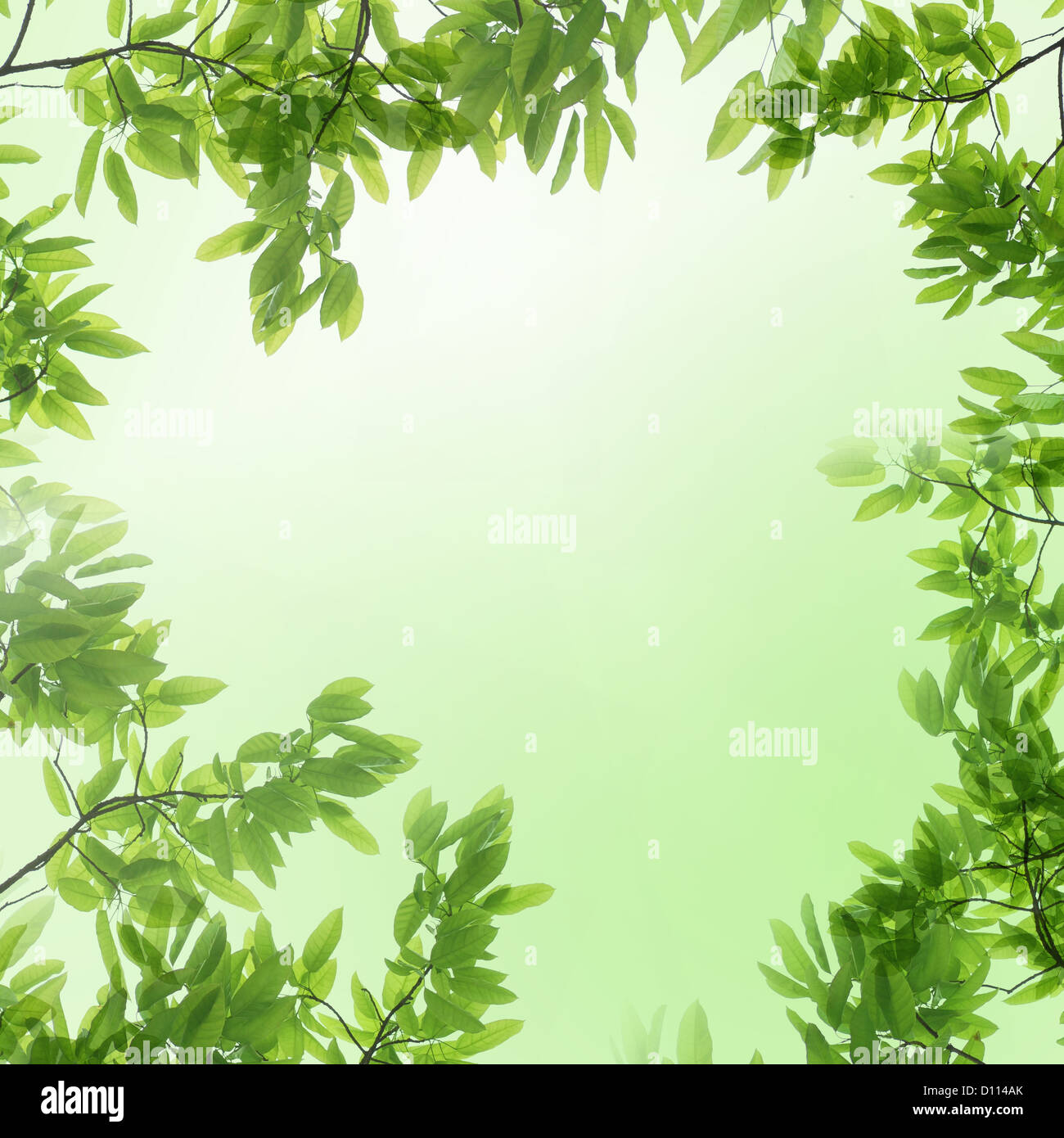 green leaf frame background Stock Photo - Alamy