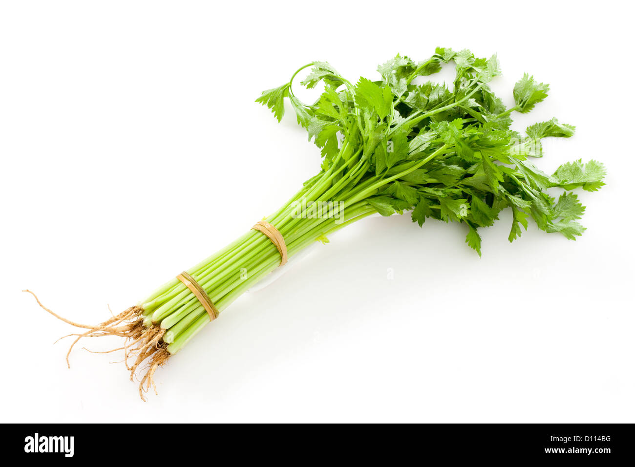 A bundle of celery Stock Photo - Alamy