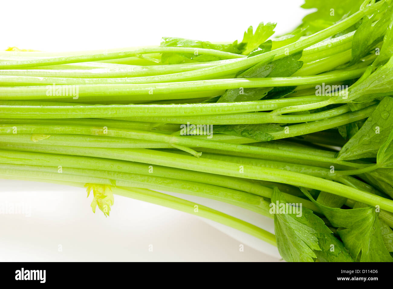 Close up of a bundle of celery Stock Photo - Alamy