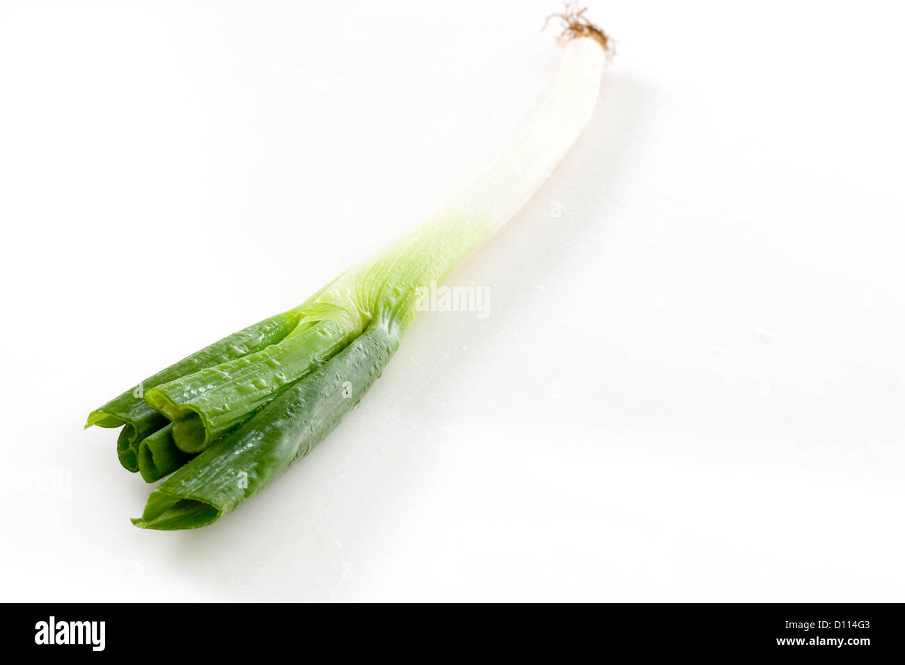 Preparing shallot hi-res stock photography and images - Alamy