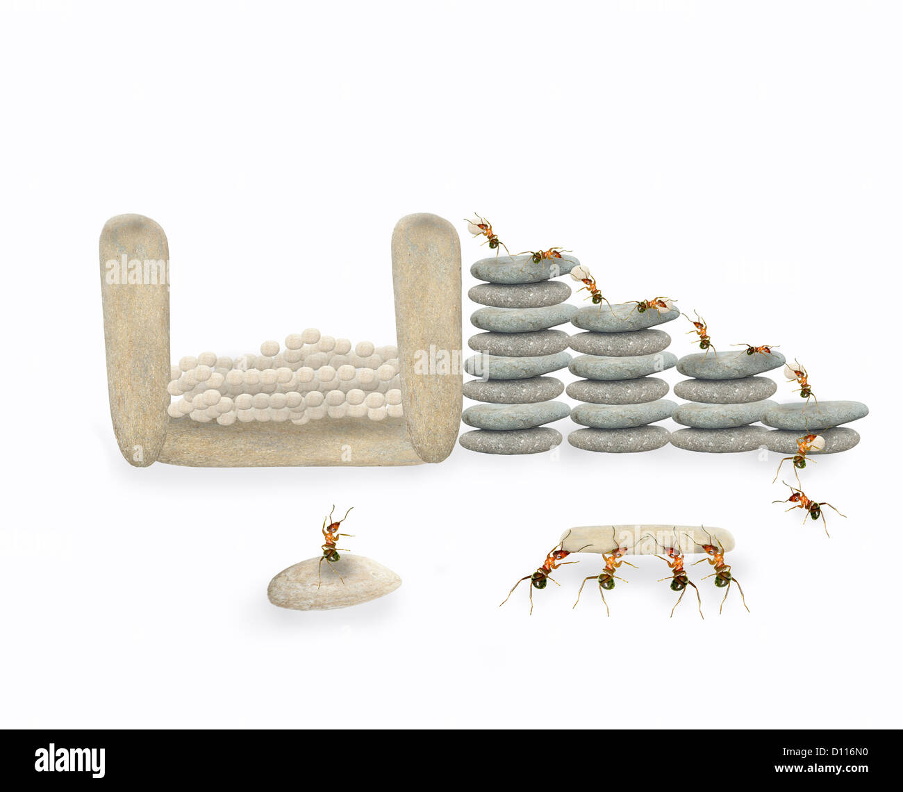 Ants build their own houses Stock Photo - Alamy