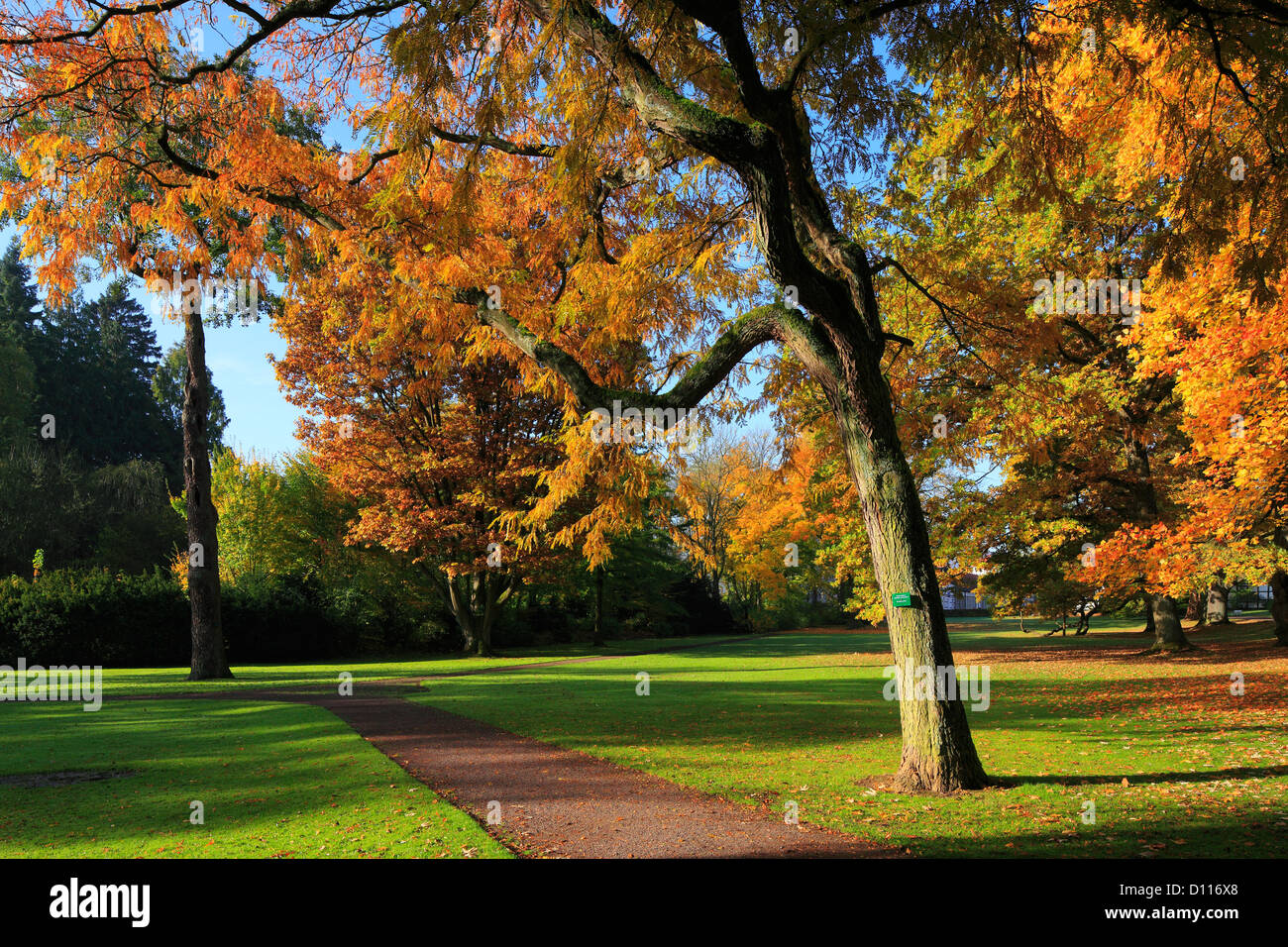 Graeflicher Park in Bad Driburg, Teutoburger Wald, Eggegebirge ...