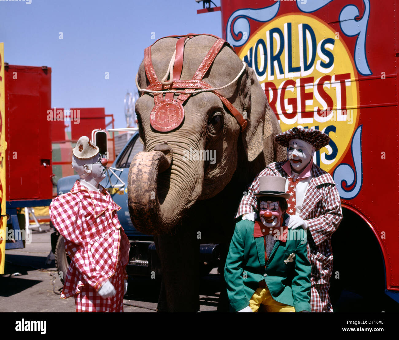 Elephant clowns hi-res stock photography and images - Alamy