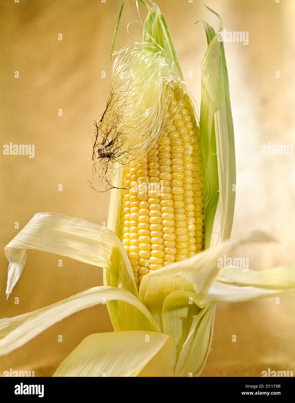 Grain down hi-res stock photography and images - Alamy