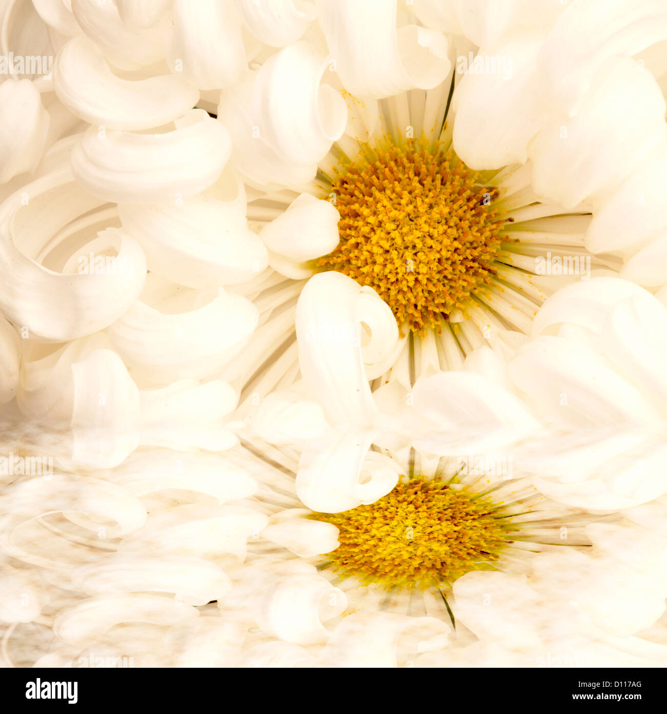 Adv circle hi-res stock photography and images - Alamy