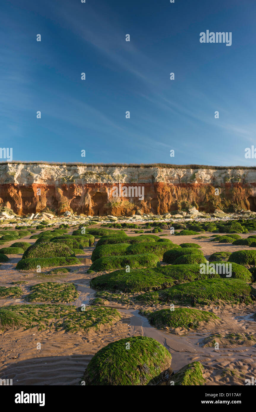 The cliffs and beach at Hunstanton, Norfolk, England, at low tide Stock ...