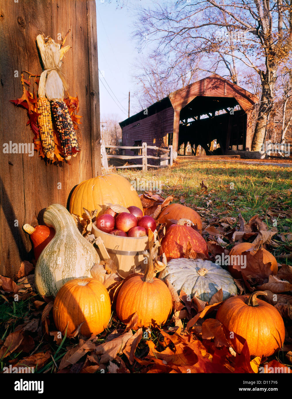 1960s HARVEST DISPLAY OF PUMPKINS AND CORN OUTDOORS BESIDE COVERED ...