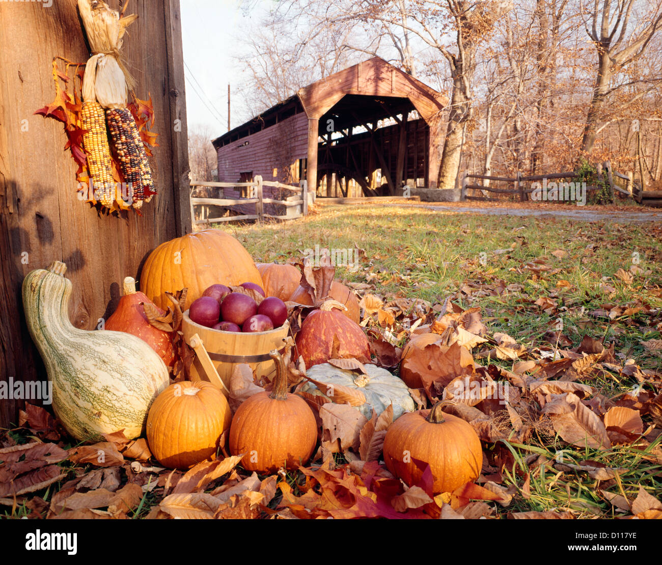 1960s AUTUMN SCENIC OF COVERED BRIDGE WITH HARVEST VEGETABLE DISPLAY IN ...