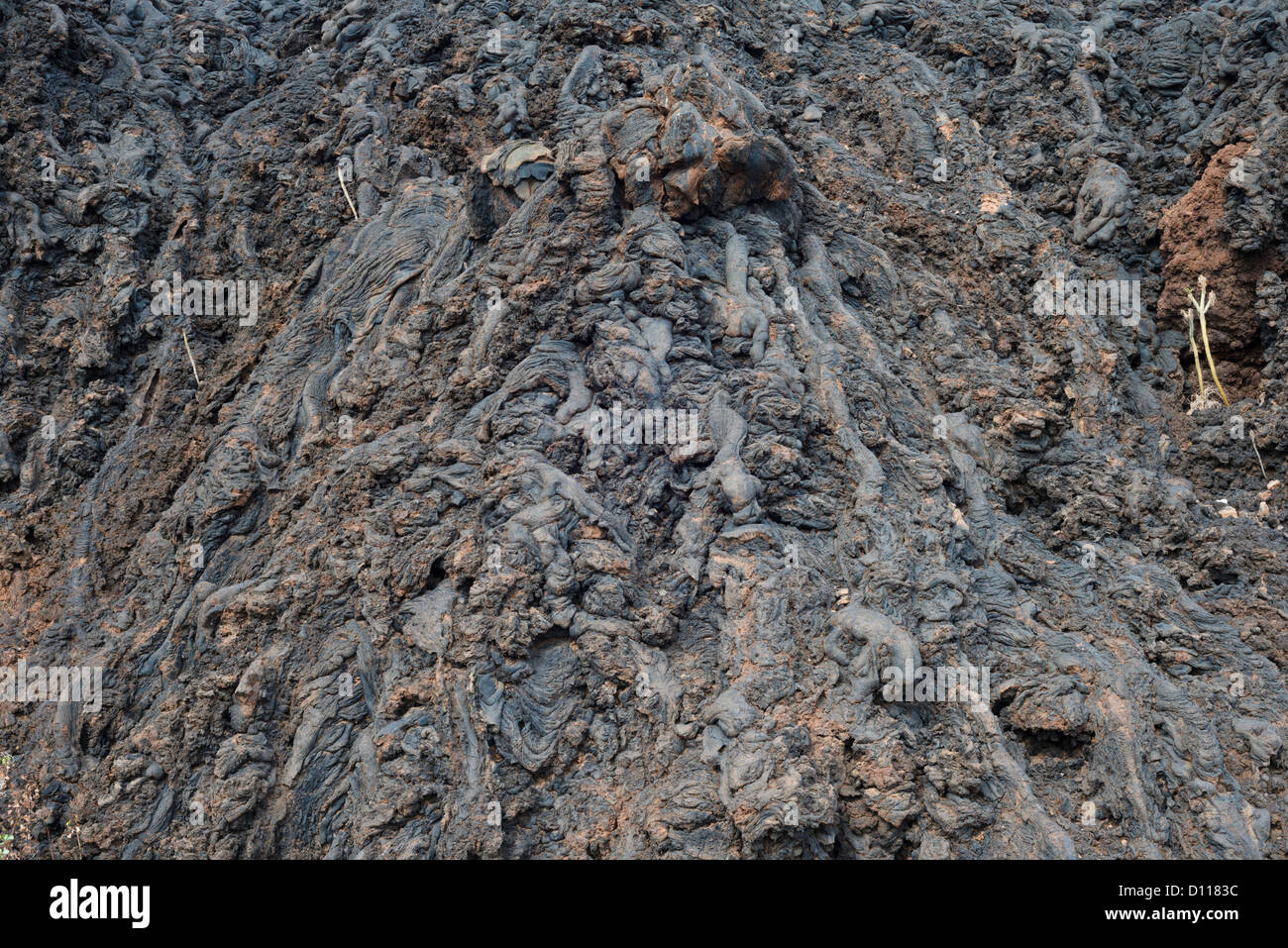 Vertical section hi-res stock photography and images - Alamy