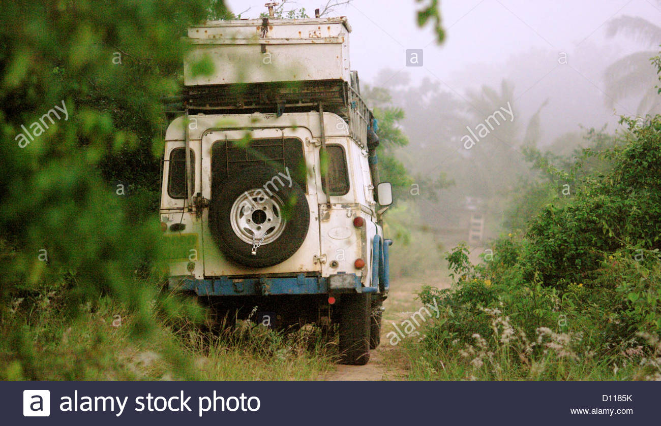 Explorers Jungle Stock Photos & Explorers Jungle Stock Images - Alamy