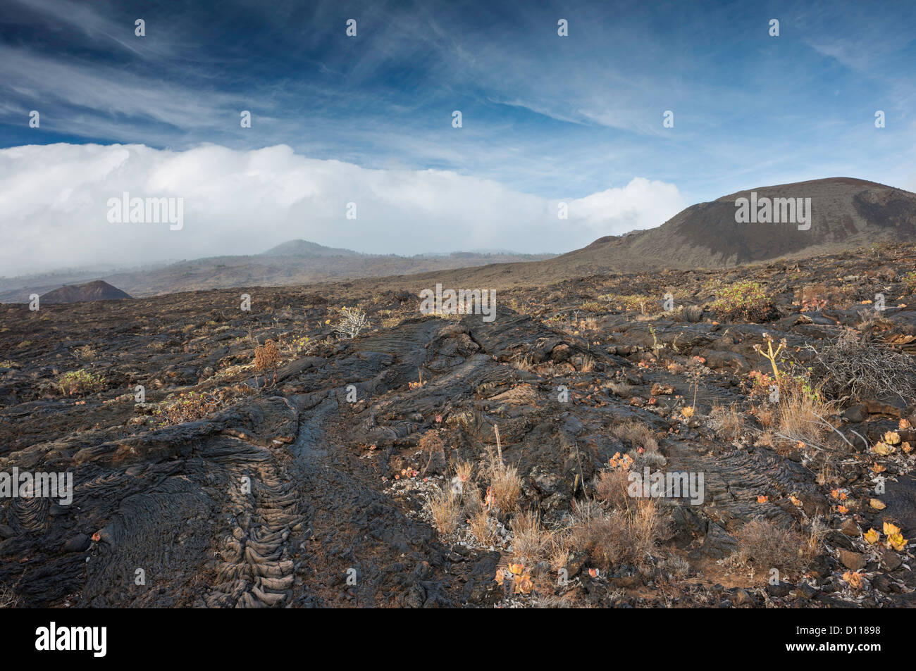 Pahoehoe (ropy) lava flows at Tacoron on the south coast of El Hierro ...