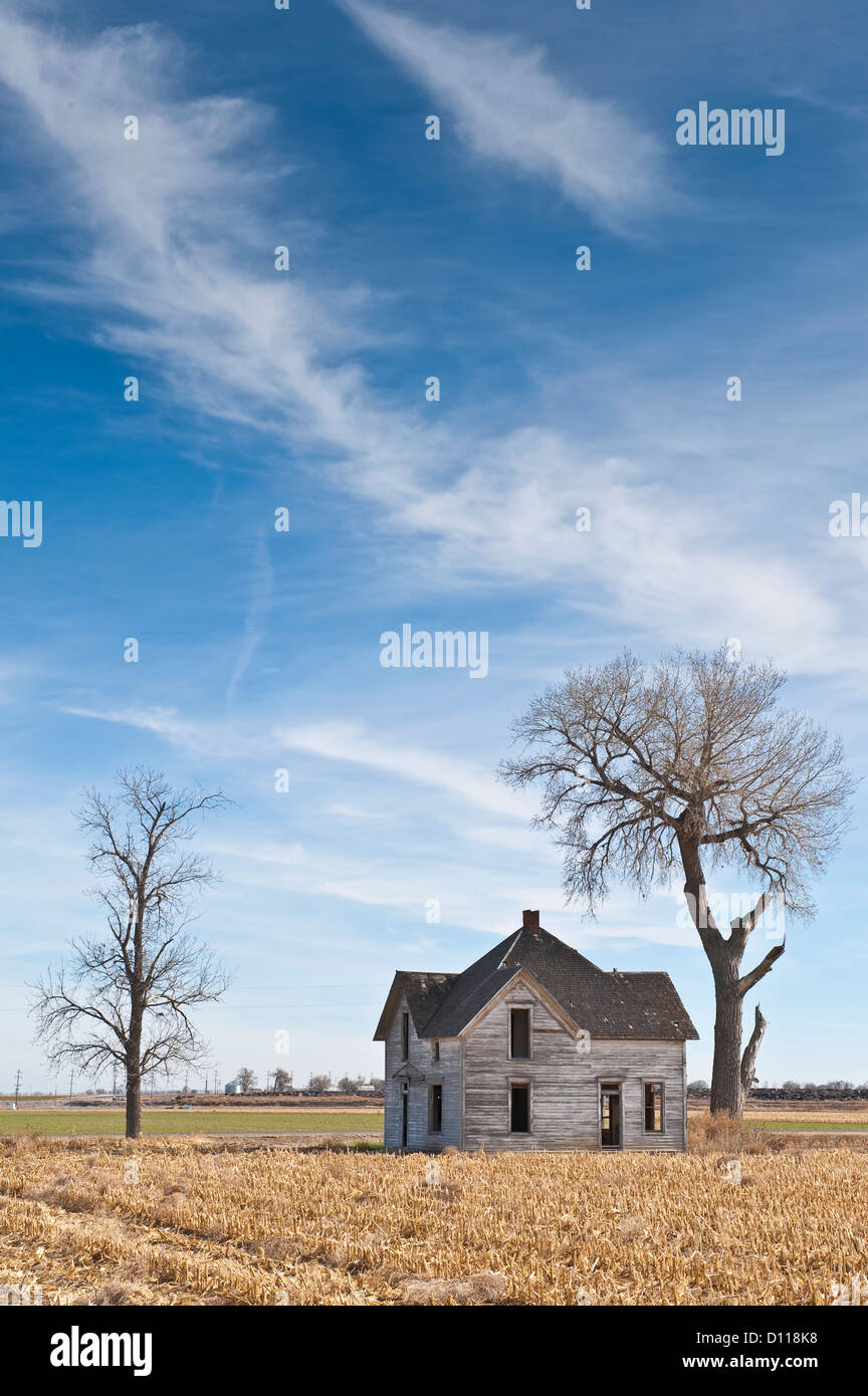Abandoned House in Field Stock Photo - Alamy