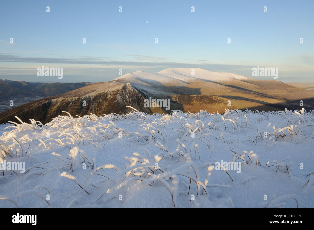 Blease hi-res stock photography and images - Alamy