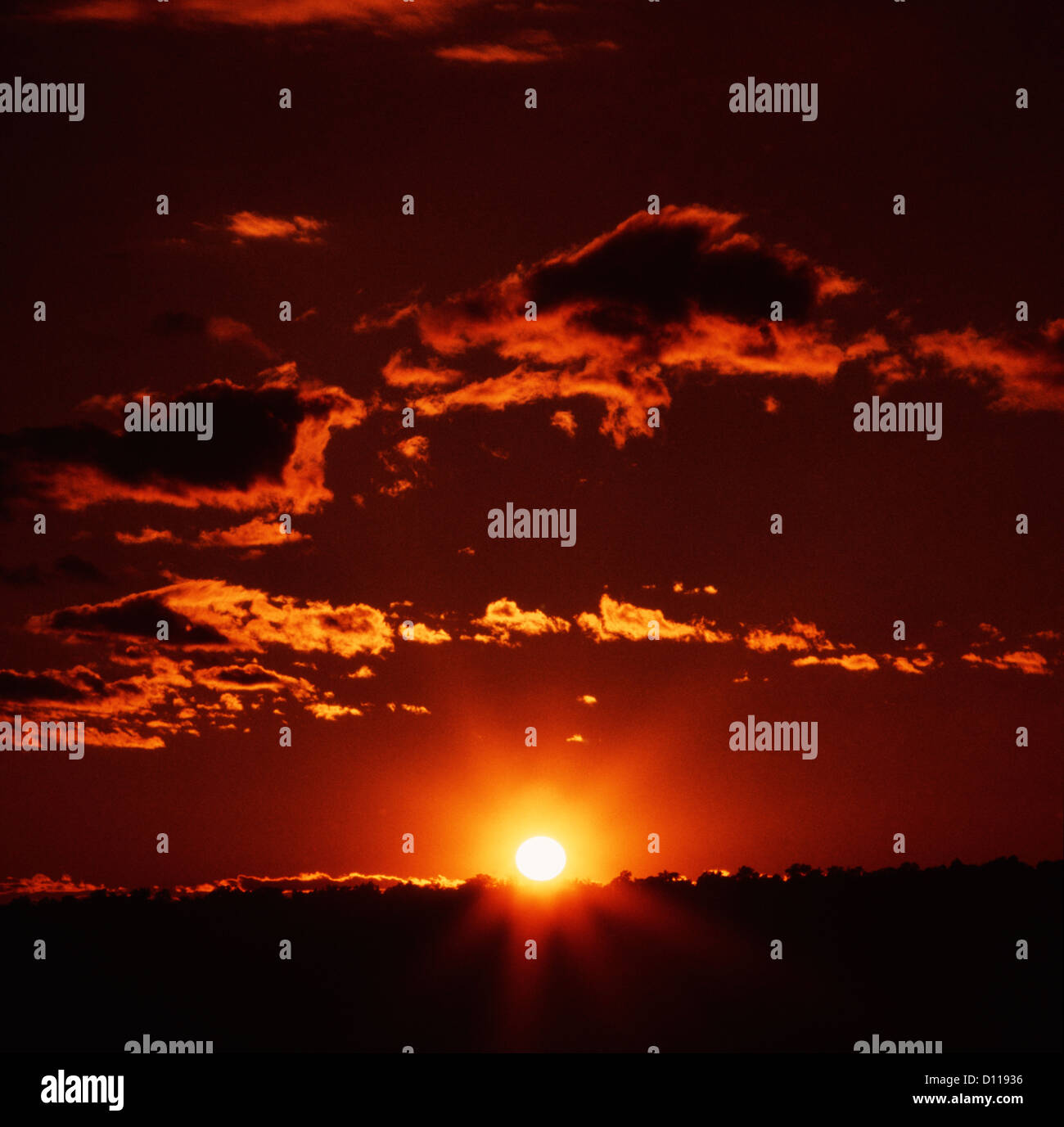 LANDSCAPE OF YELLOW BALL OF SUN SETTING ON THE HORIZON WITH RED ORANGE ...