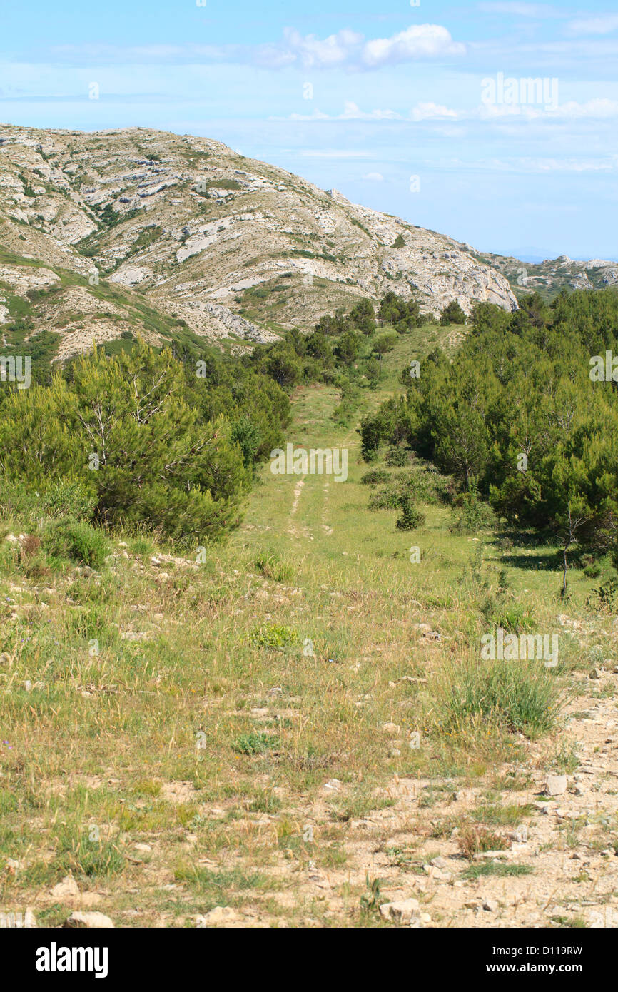 Arid habitats hi-res stock photography and images - Alamy
