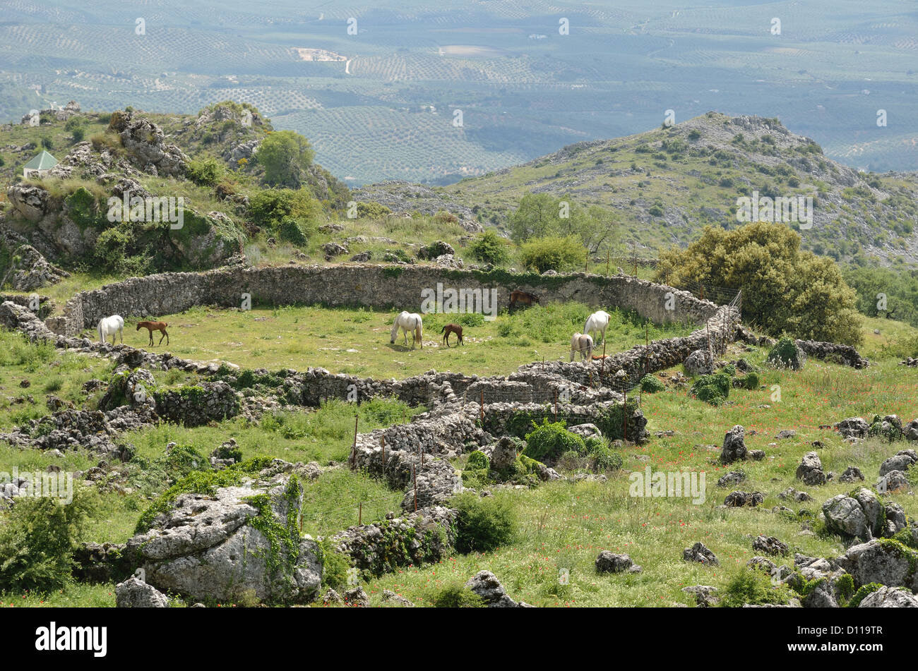 Karst slope hi-res stock photography and images - Alamy