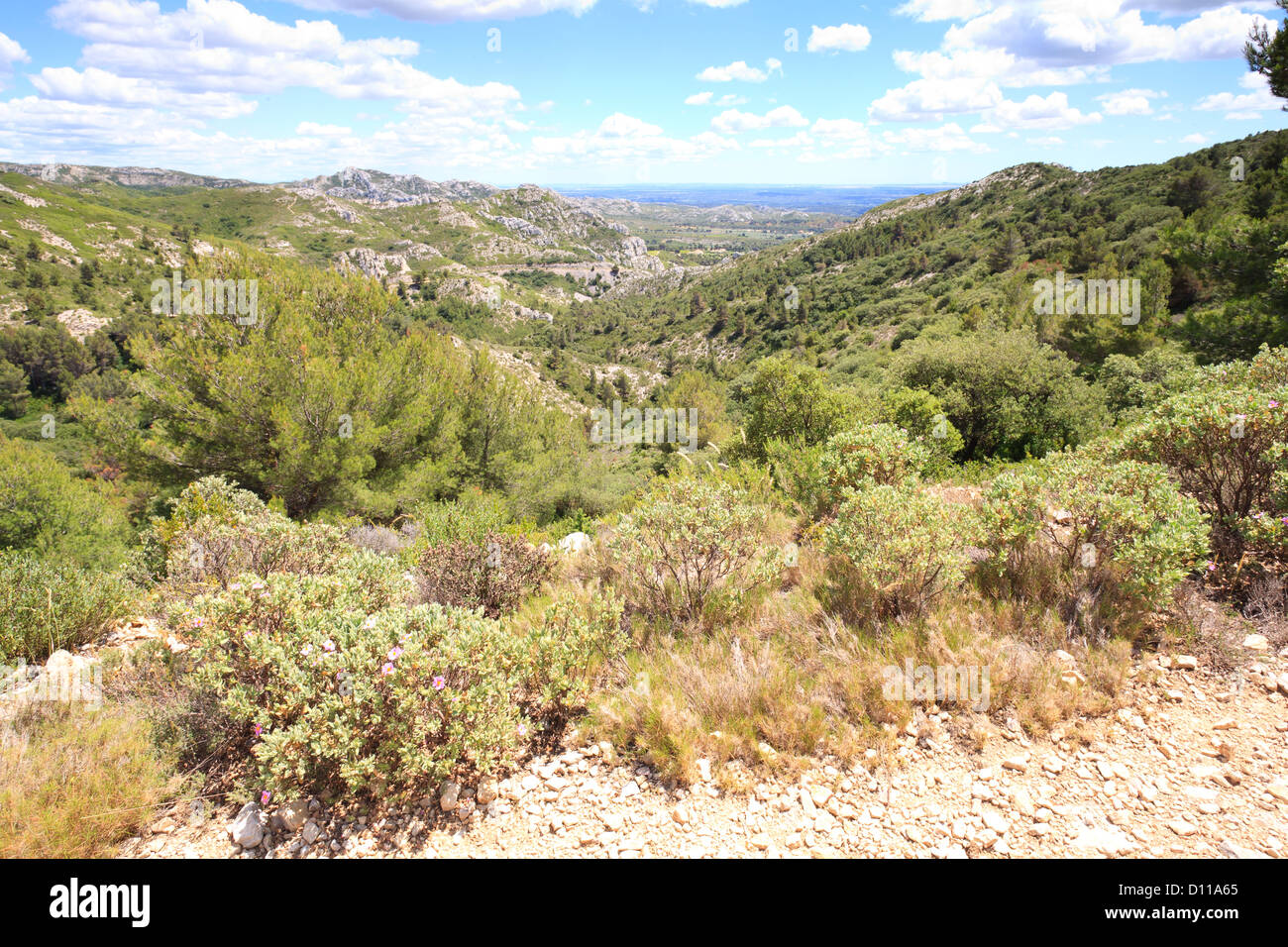Garrigue france hi-res stock photography and images - Alamy