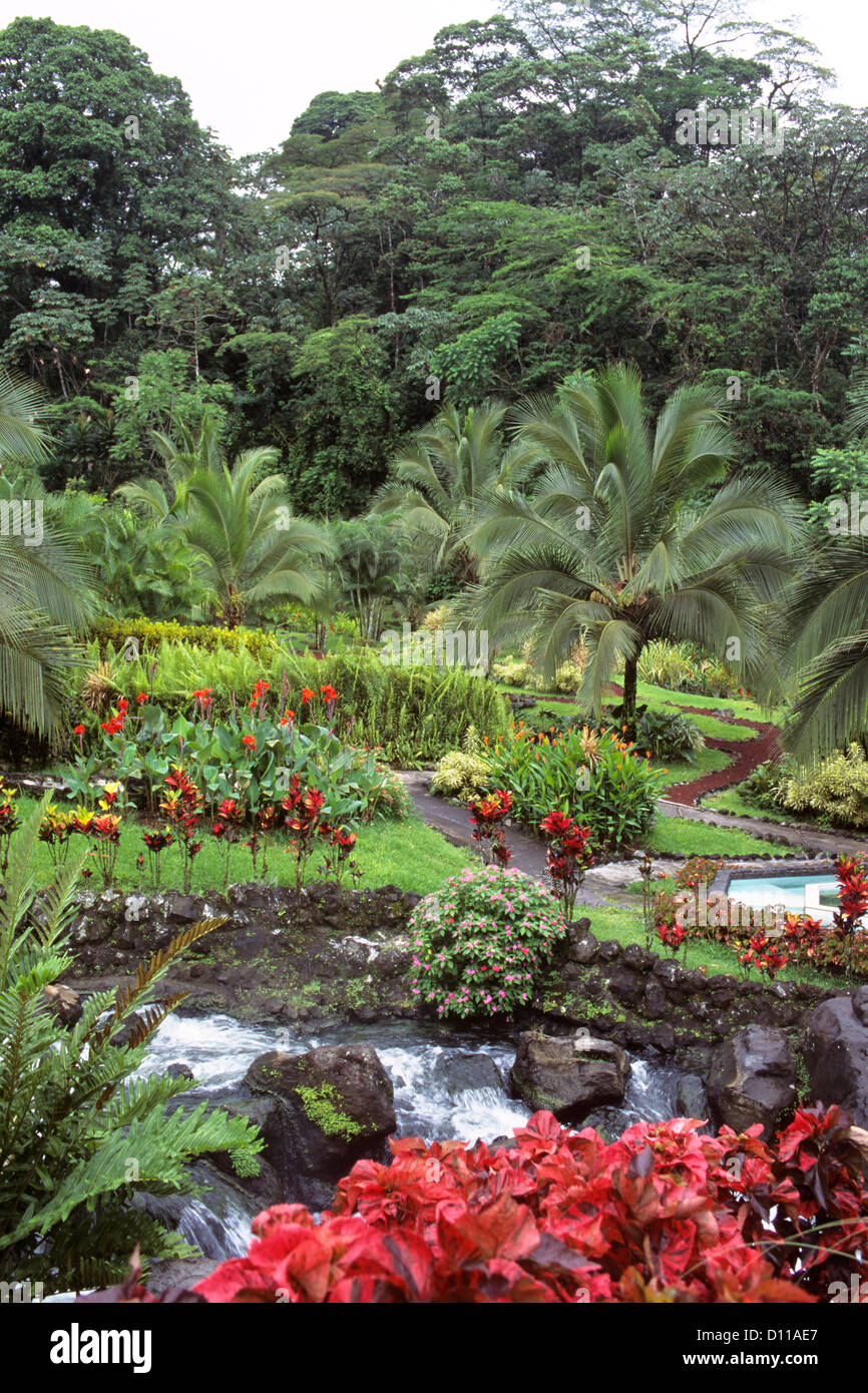 Costa rica plantings hi-res stock photography and images - Alamy