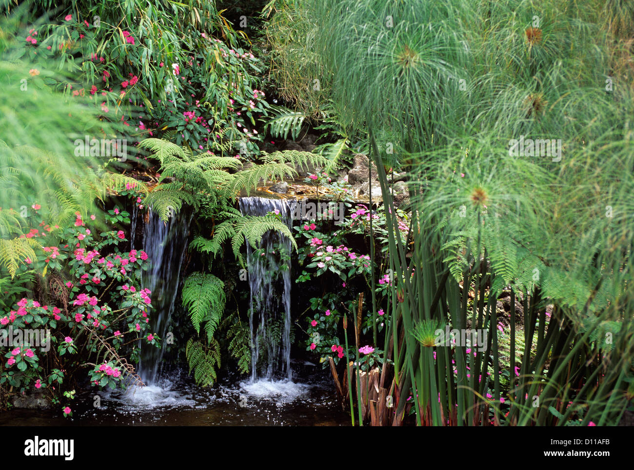 LANKESTER GARDENS CARTAGO COSTA RICA Stock Photo - Alamy