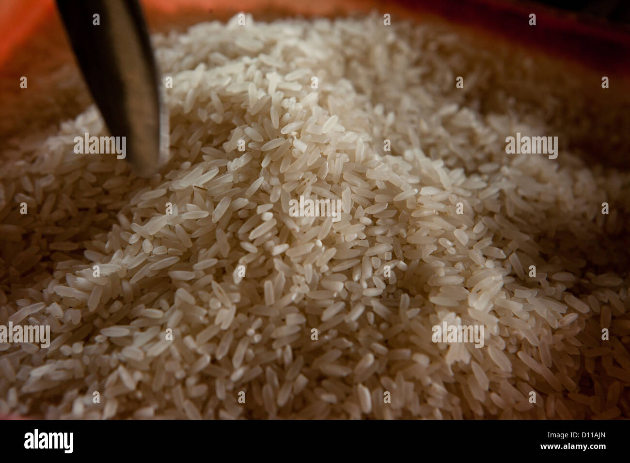 Grains of rice. Indonesia Stock Photo - Alamy
